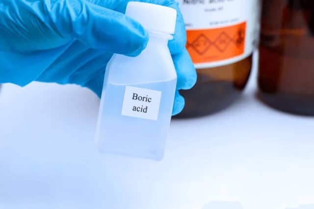 How to Make Bait for Ghost Ants With Boric Acid – Midway Pest Management